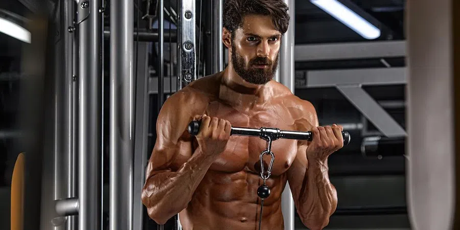 Onderzoek: Creatine en drop sets zijn een gouden combinatie voor meer ...