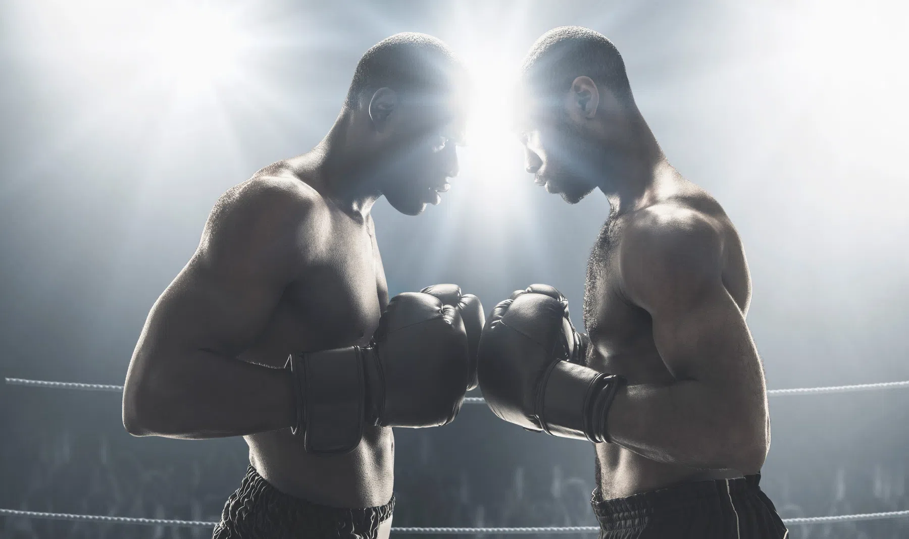 Deze acht influencers strijden om €100.000 bij Boxing Influencers